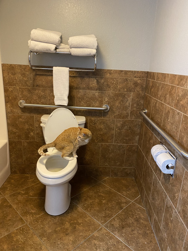 F40 E3 FDB A3 B5 492 C AE65 8 A91 A66 B4 D16 — Postimages