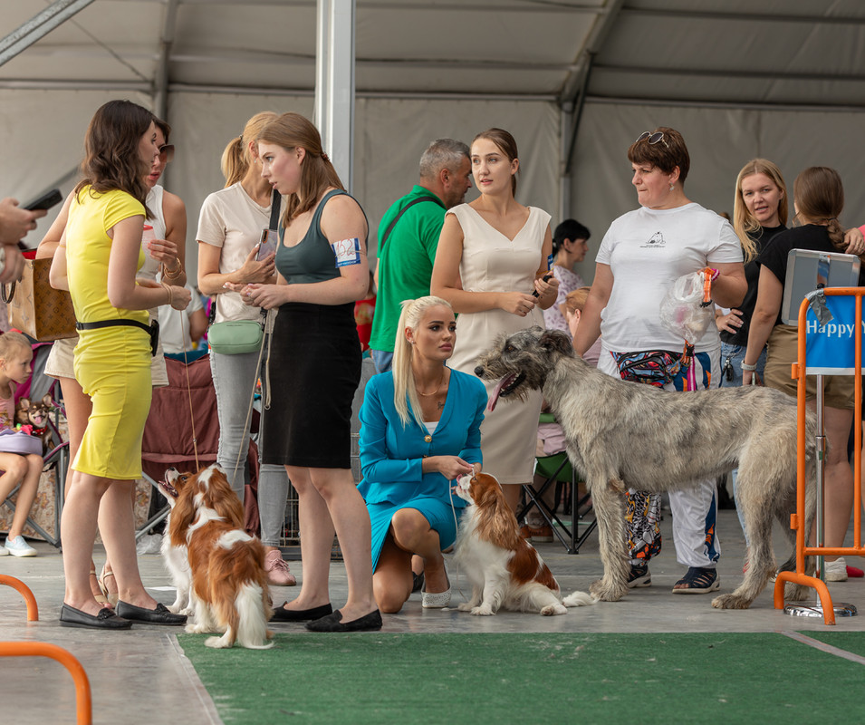 119 CR2 — Postimages