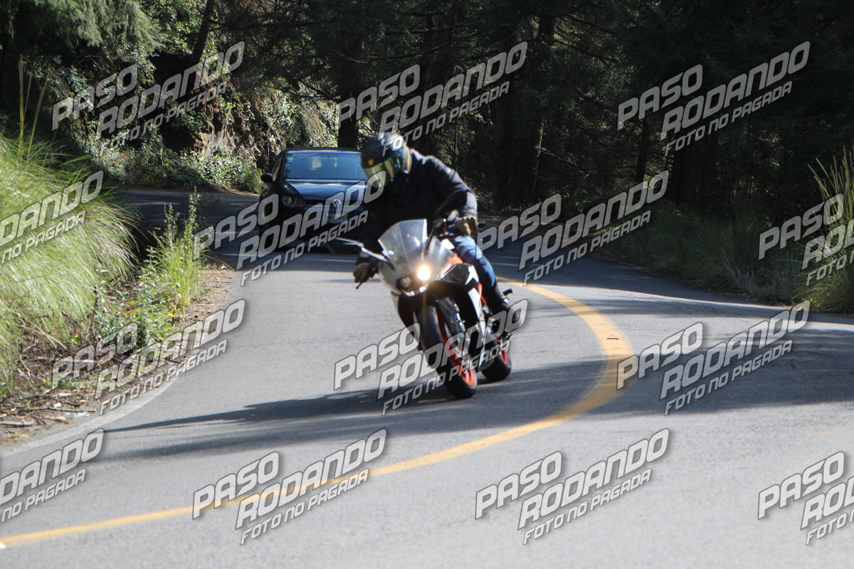 IMG 7198 wm 1075896 1999999993 watermarked — Postimages