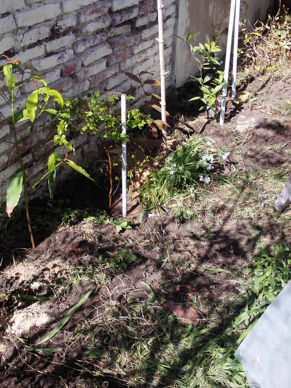 IMG 0174 — Postimages