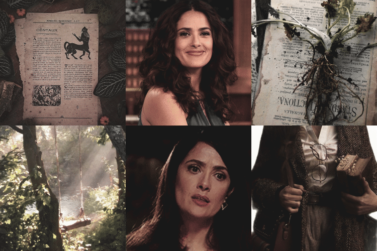 The Cardona Family: The Anthology - Chapter 1 - JCardonaCardona - Harry ...