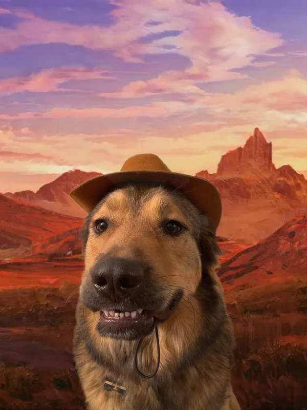 My project (5) — Postimages