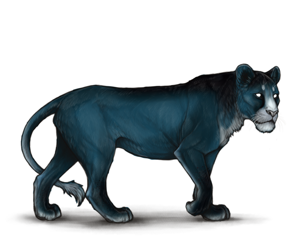 blue base! (Treasure hunt rare drop?) [rebranded] :|: Lioden