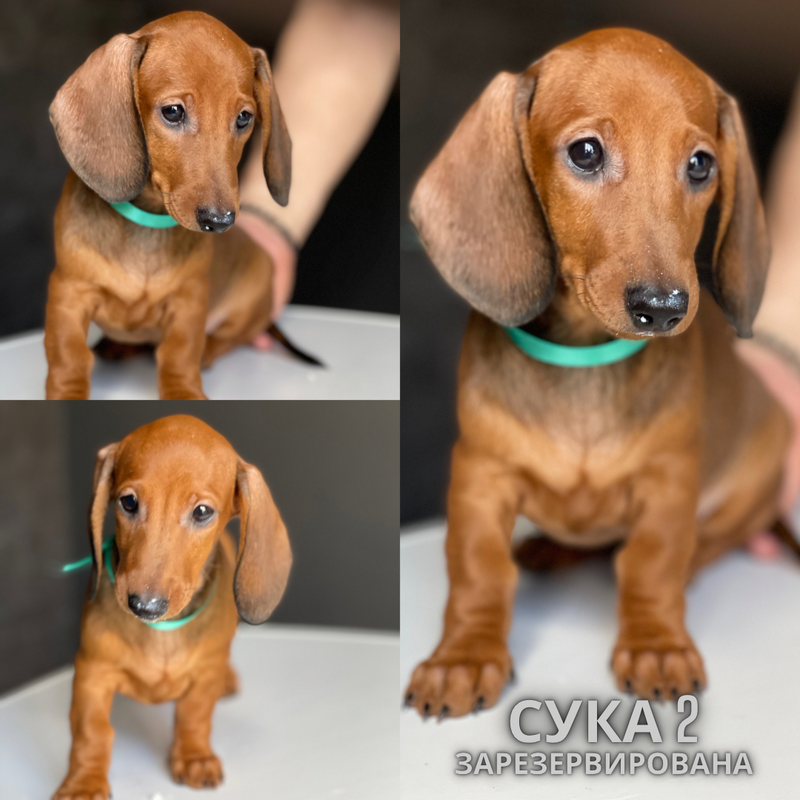 412931 DC 6 CAF 47 C9 ADD6 0 B65268866 C3 — Postimages