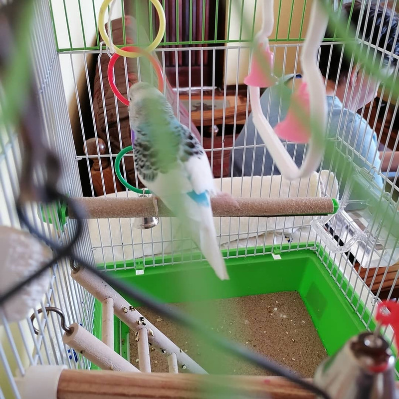 IMG 20210724 223626 025 — Postimages