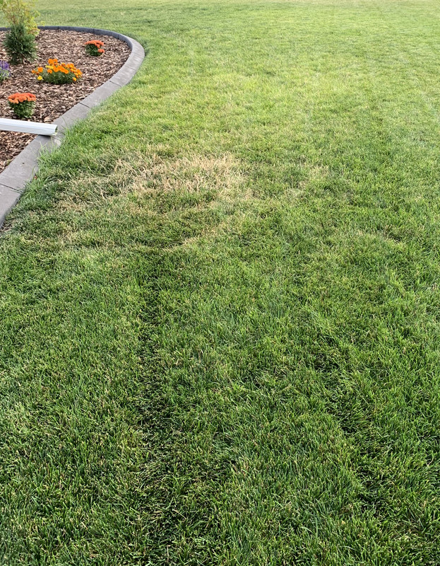 3 BC3928 F 1581 436 F 95 F3 341 FB9 DE03 DA — Postimages