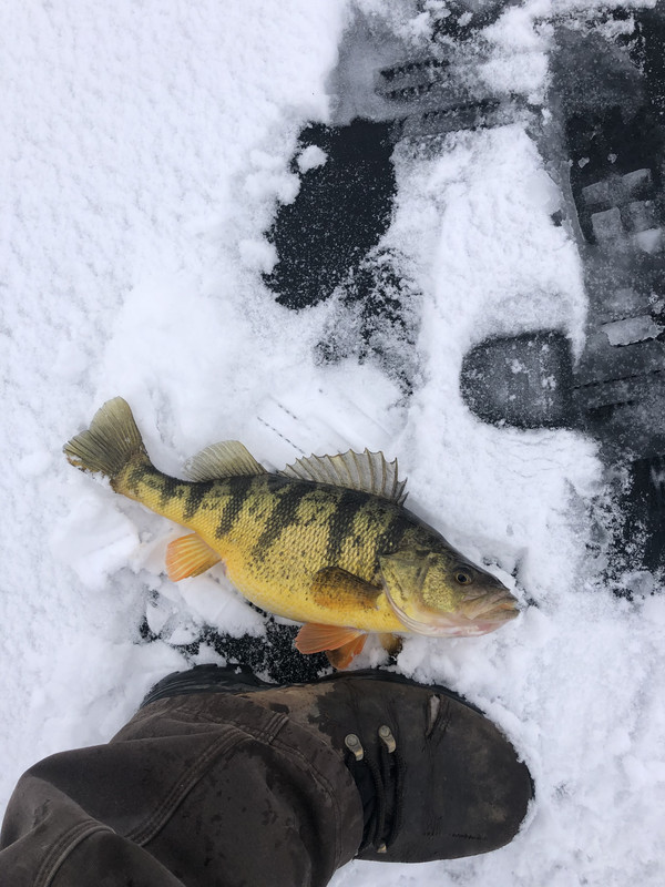 2 E0 B5053 FE56 4 B9 C 8785 C35 E123 A9 D4 F — Postimages