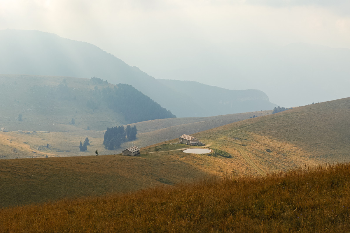 DP3 Q8233p C 2 — Postimages