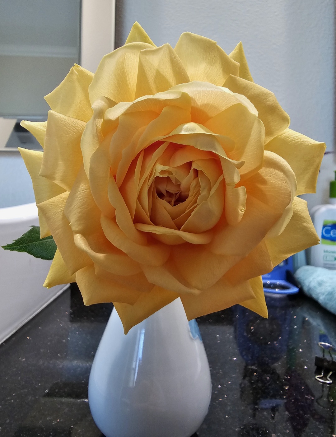 Screenshot 20230510 234100 Gallery — Postimages