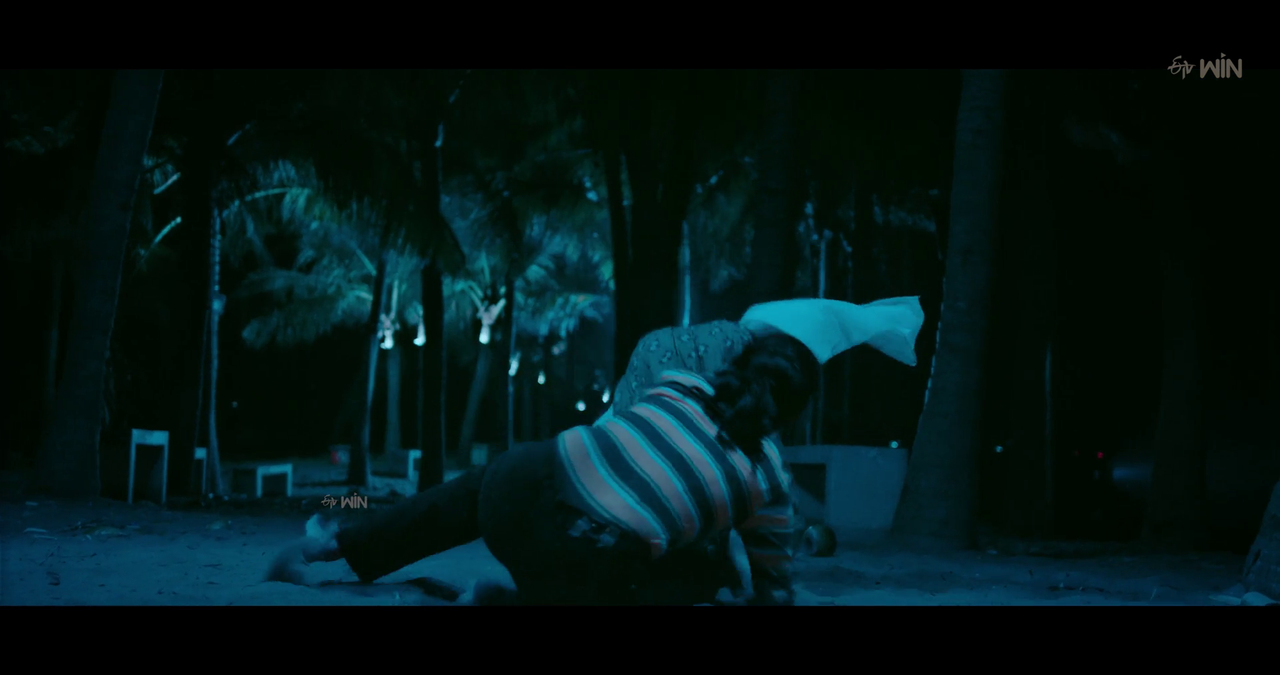 vlcsnap 2025 01 24 17h30m07s142 — Postimages