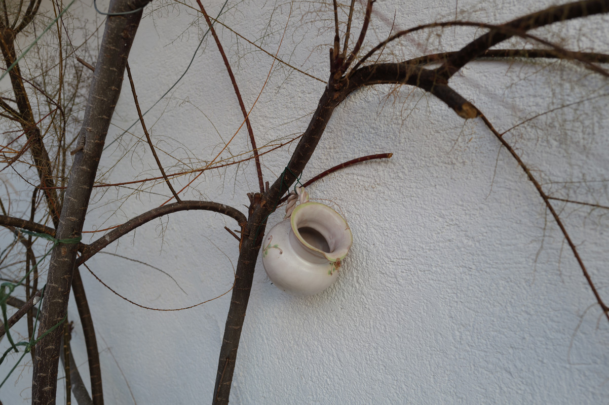 DO01000848 — Postimages