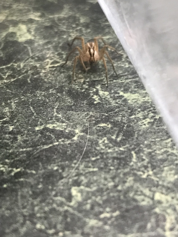 2 D8 B2 D0 C 331 C 498 F 9 BB4 BA0 F0 A8 E5 A17 — Postimages