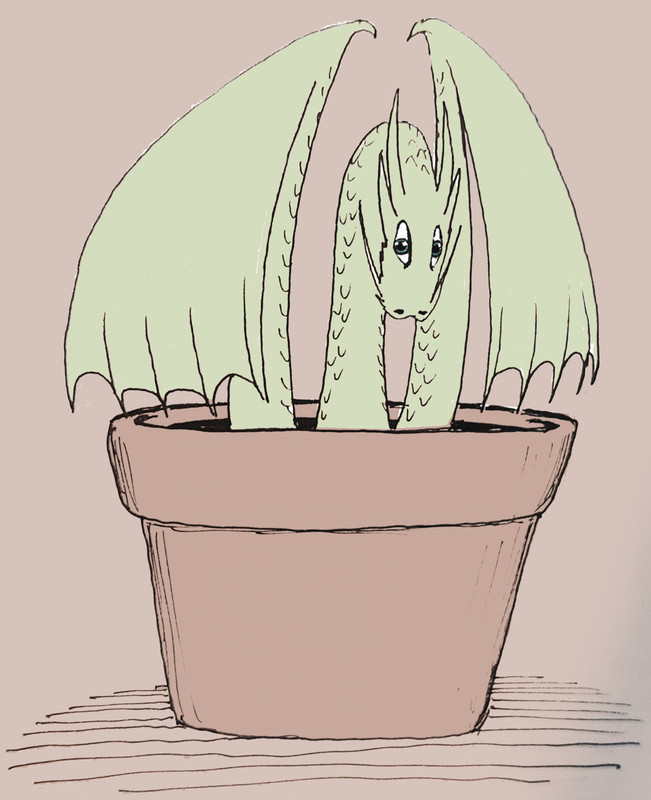potted dragon — Postimages