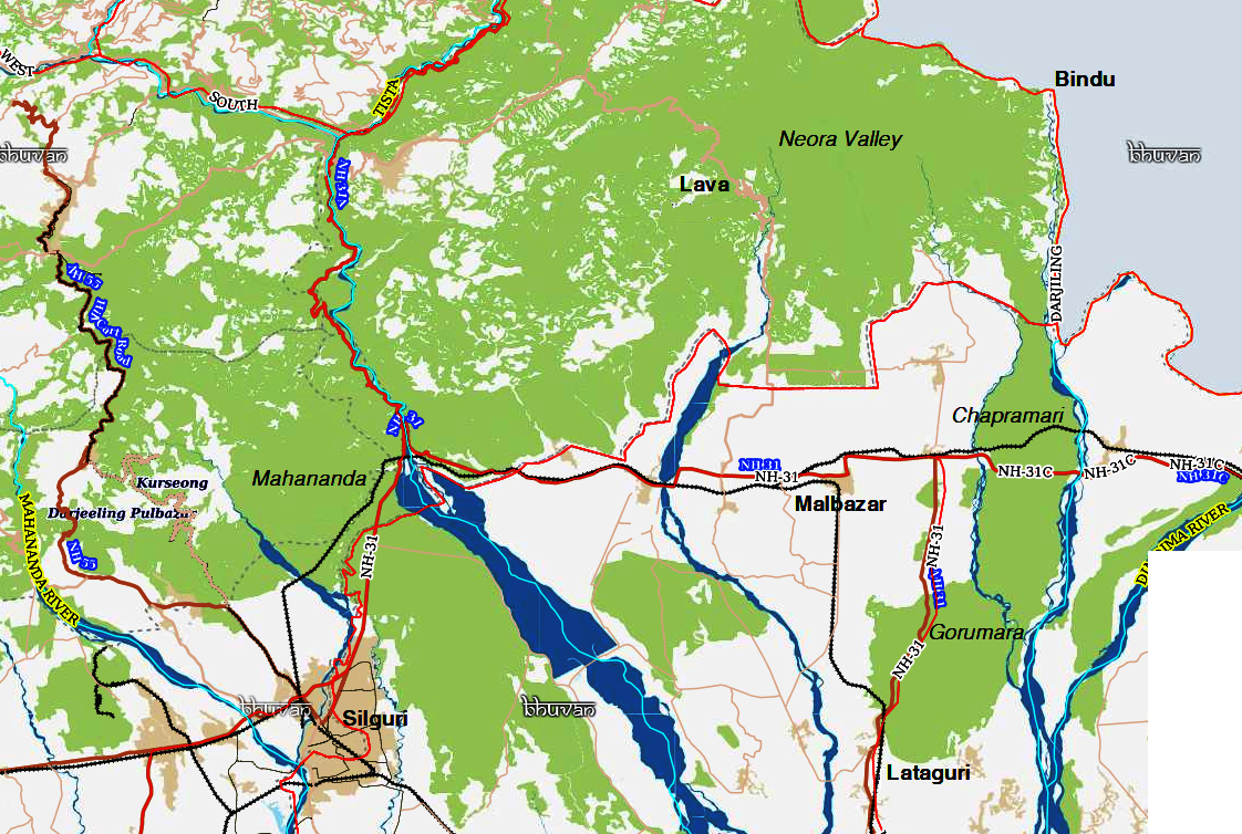 In Forests of Dooars, North Bengal