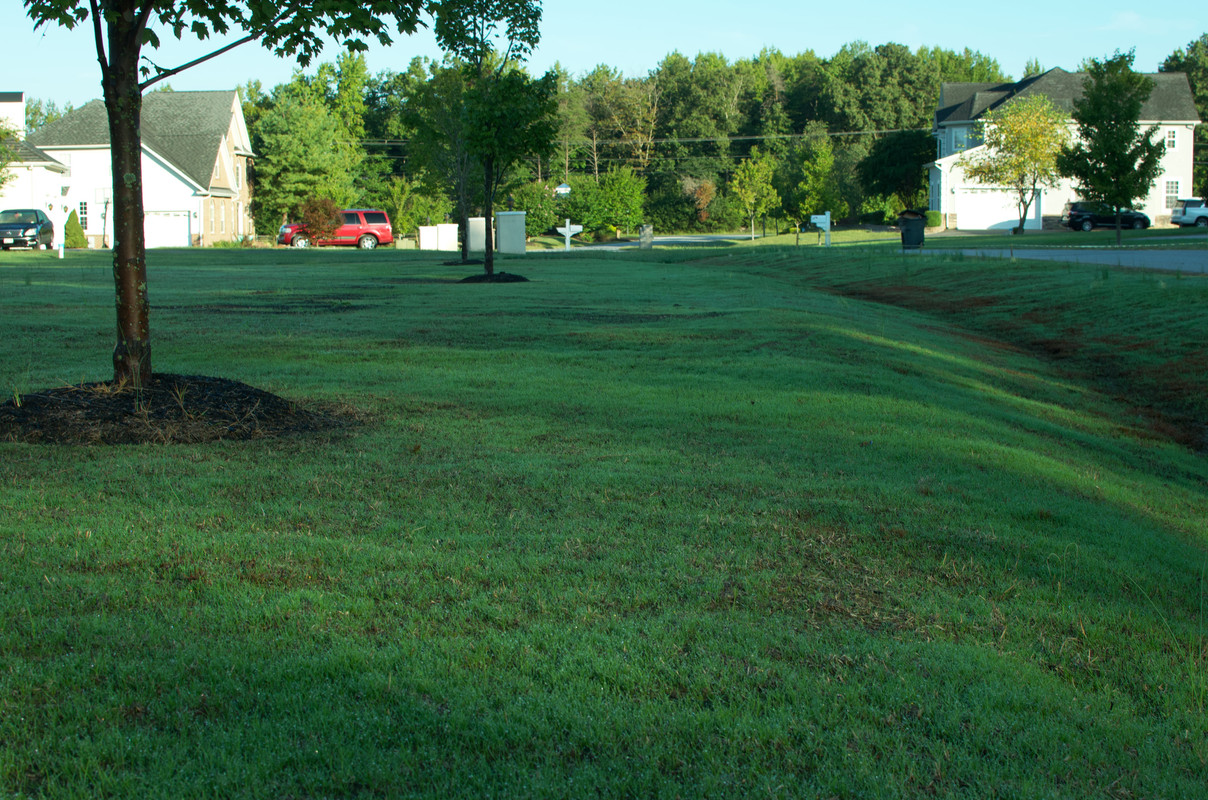 Sept 20 left side ditch — Postimages