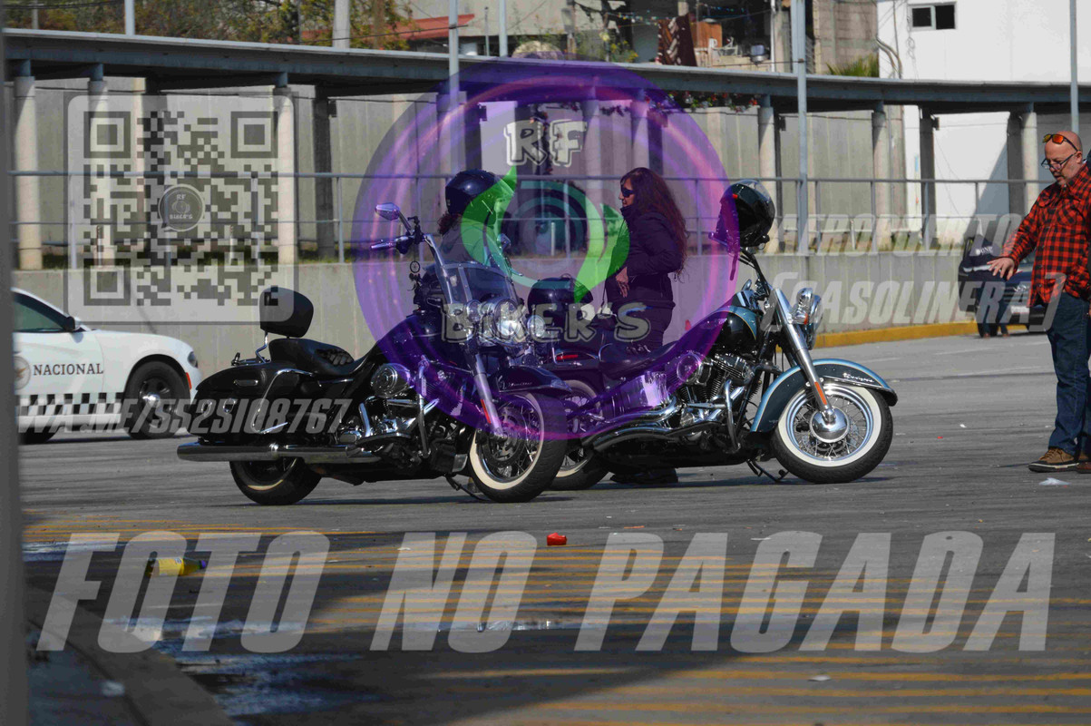 Album — Postimages