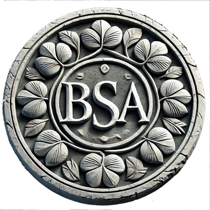 Big Scale Adventure fairlaunch - How to buy Big Scale Adventure