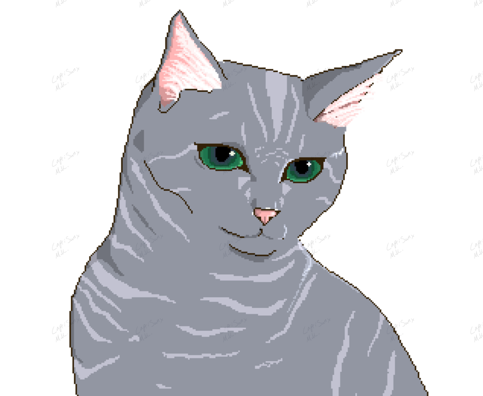 export202310012322330381 — Postimages