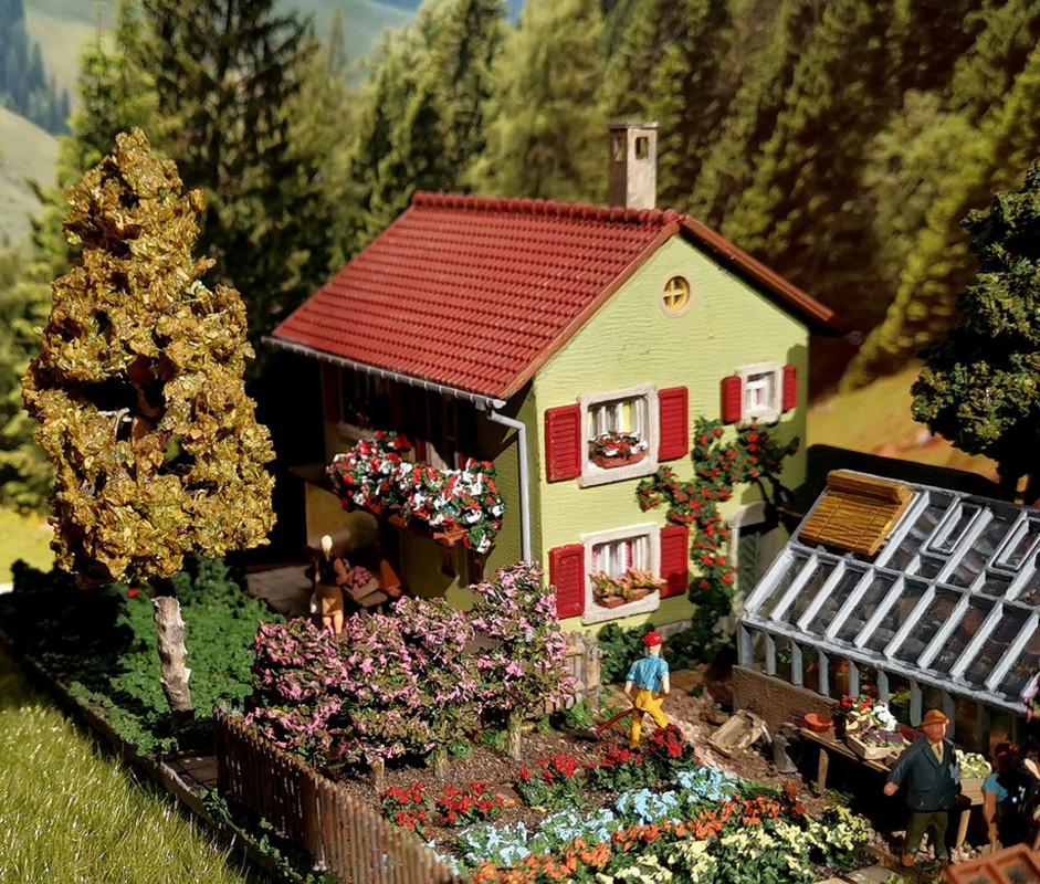 IMG 20240822 165356 edit 10569733784324 — Postimages