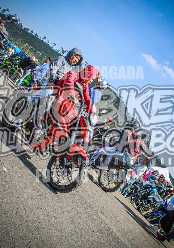 pal1 2001 — Postimages