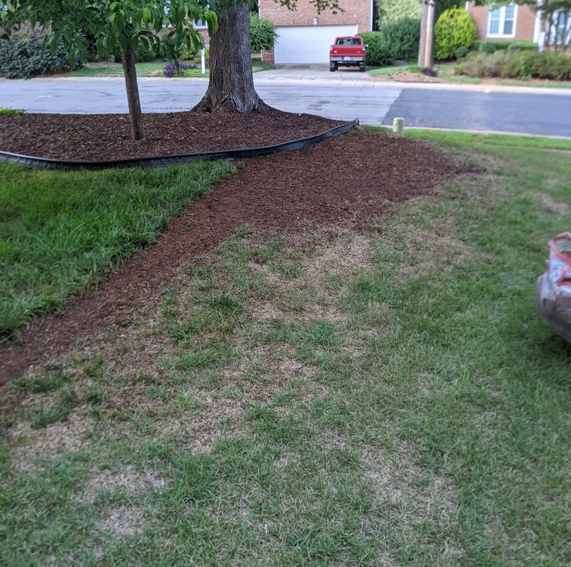 sod patch questions | Lawn Care Forum