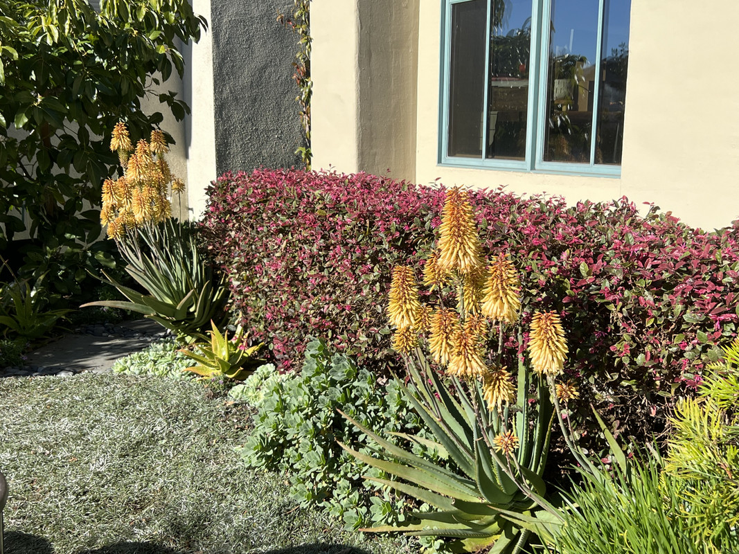 IMG 1220 — Postimages