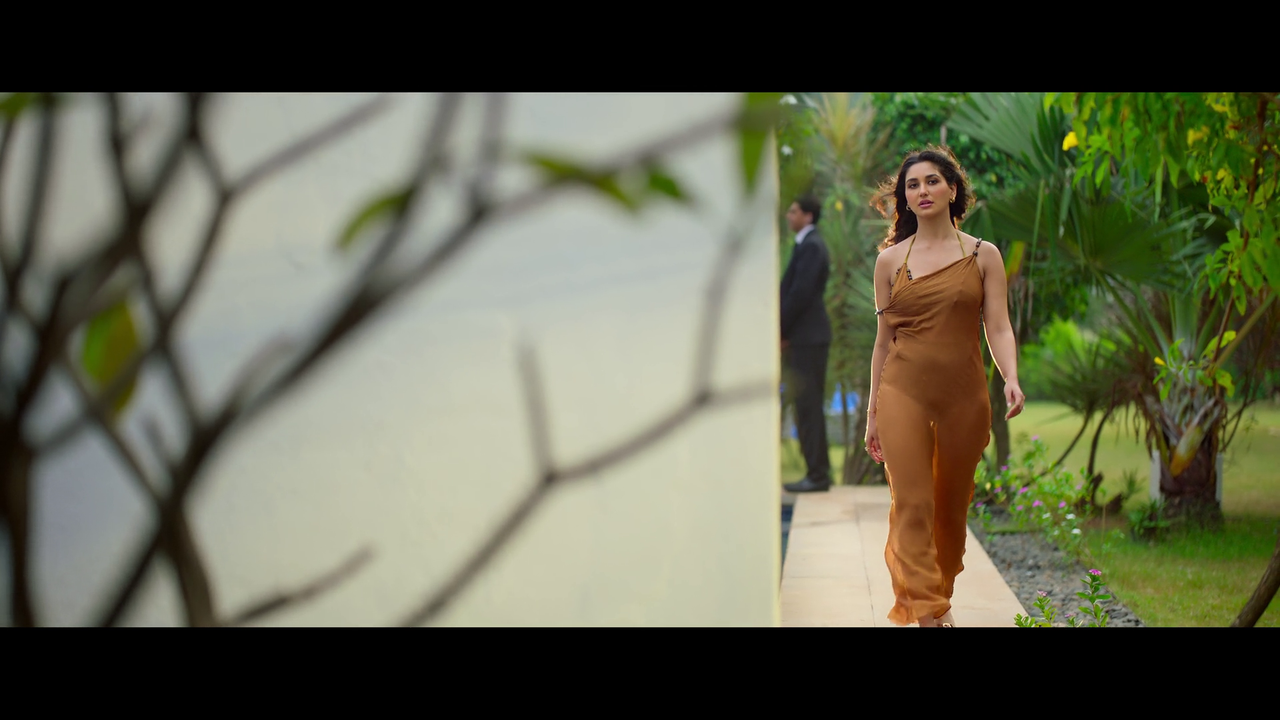 vlcsnap 2025 04 25 21h09m55s181 — Postimages