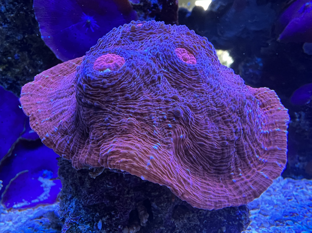 IMG 2579 — Postimages