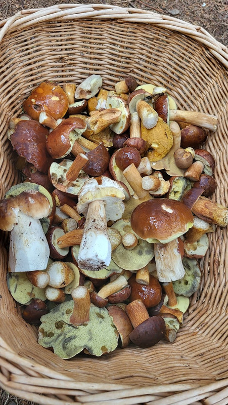 20220927 120455 — Postimages