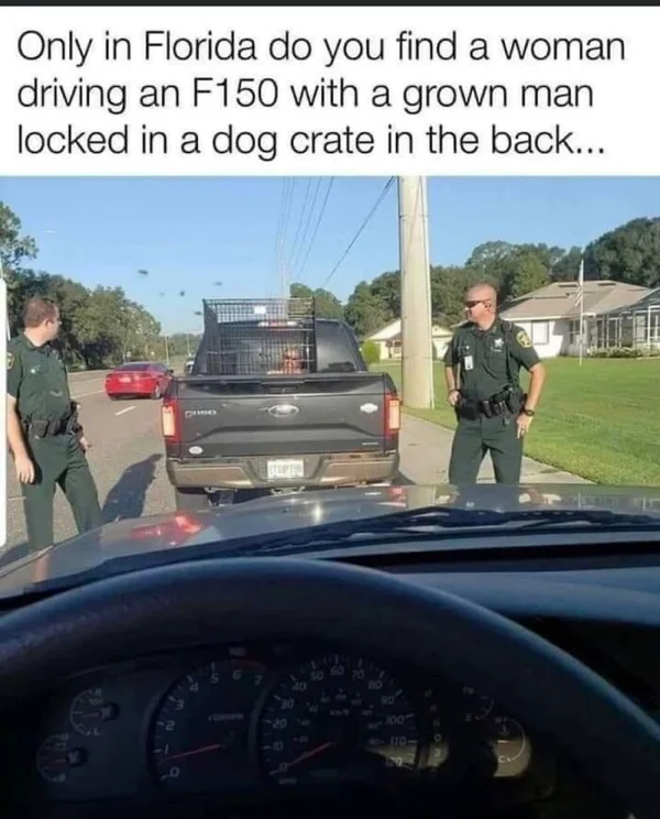 meanwhile in Apollo Beach — Postimages