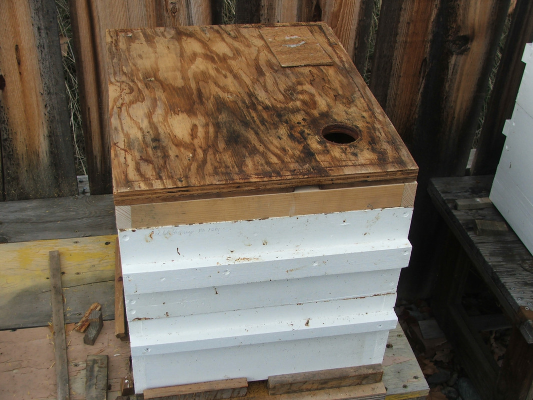 DSCF8692 — Postimages