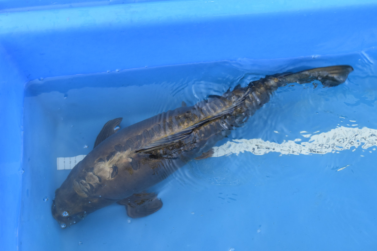 DSC 0351 — Postimages