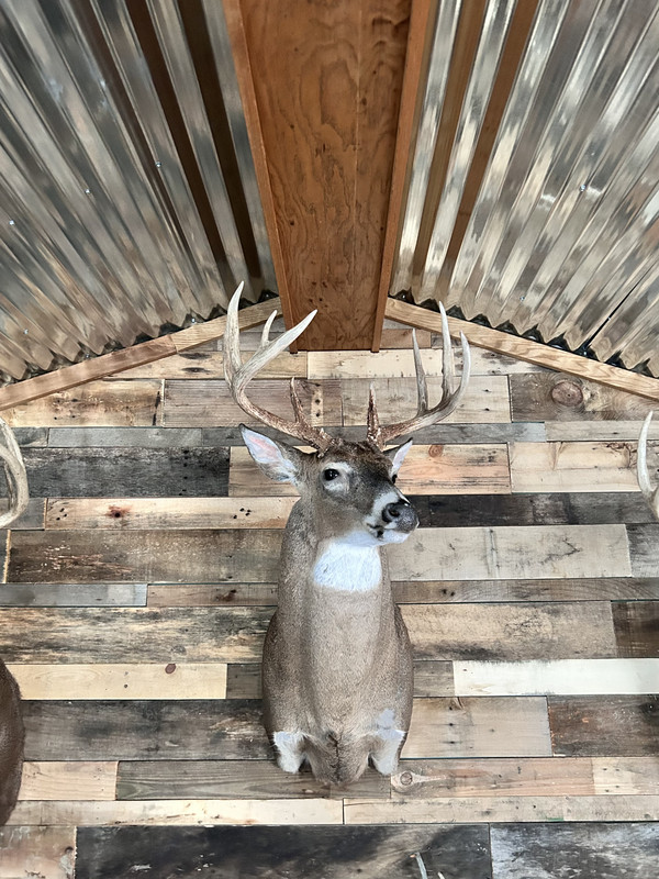 7 A1 AA259 D305 4 B13 AD5 E BCA05 E28541 E — Postimages