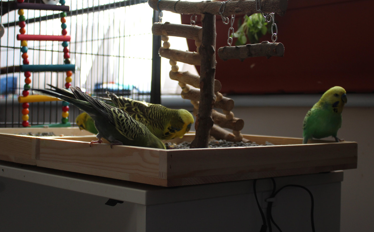 20230823163534 img 0900 — Postimages