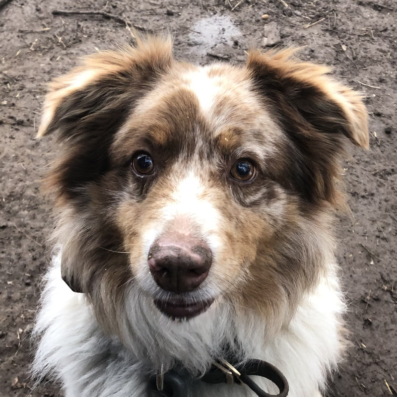 E72 CD56 C 4 CDF 4 AE5 A57 C 2 A4 D75 FF1 E1 B — Postimages