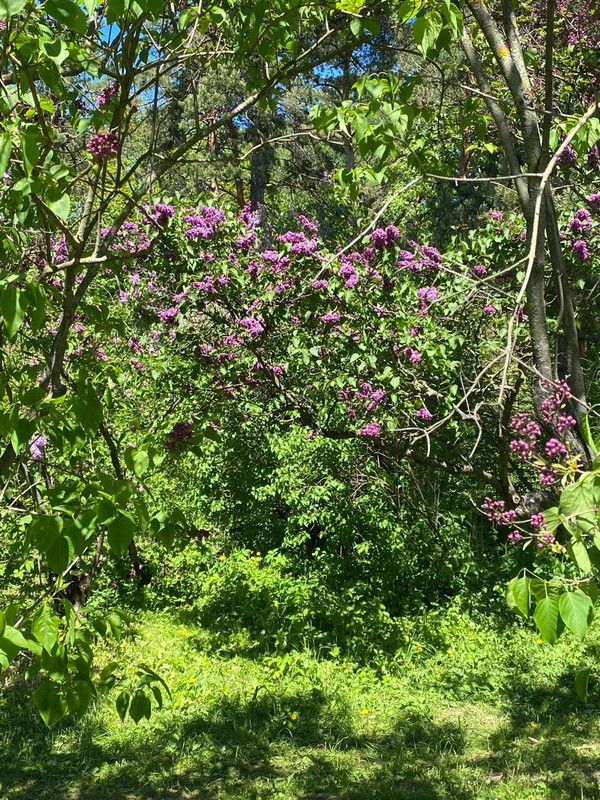 IMG 20240518 WA0090 — Postimages