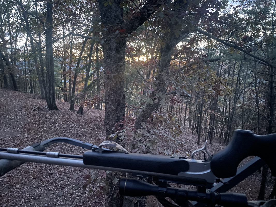 IMG 1616 — Postimages