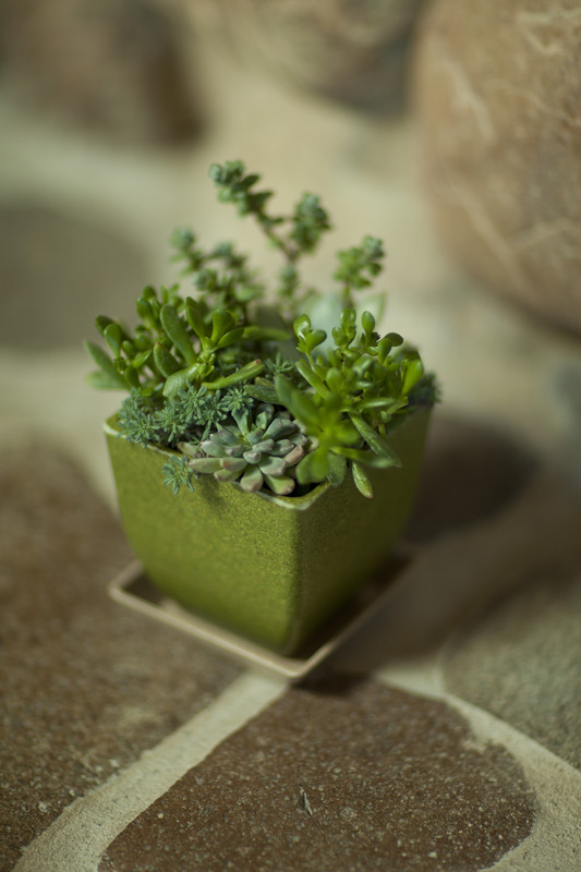 Media Room | Ecoforms