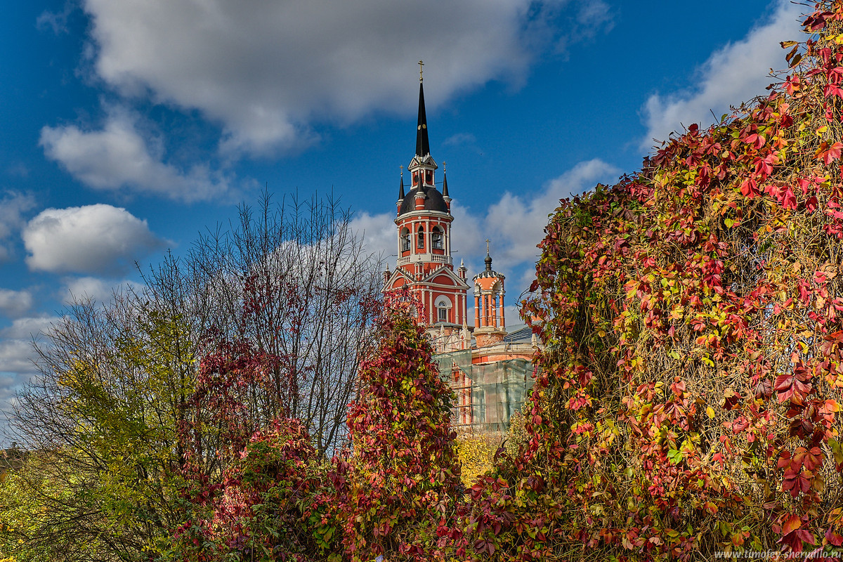 2022 10 08 DSCF8098 — Postimages