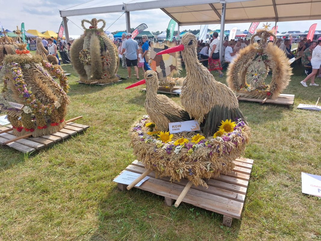 IMG 20230827 WA0003 — Postimages