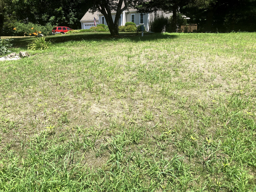 IMG 4659 — Postimages