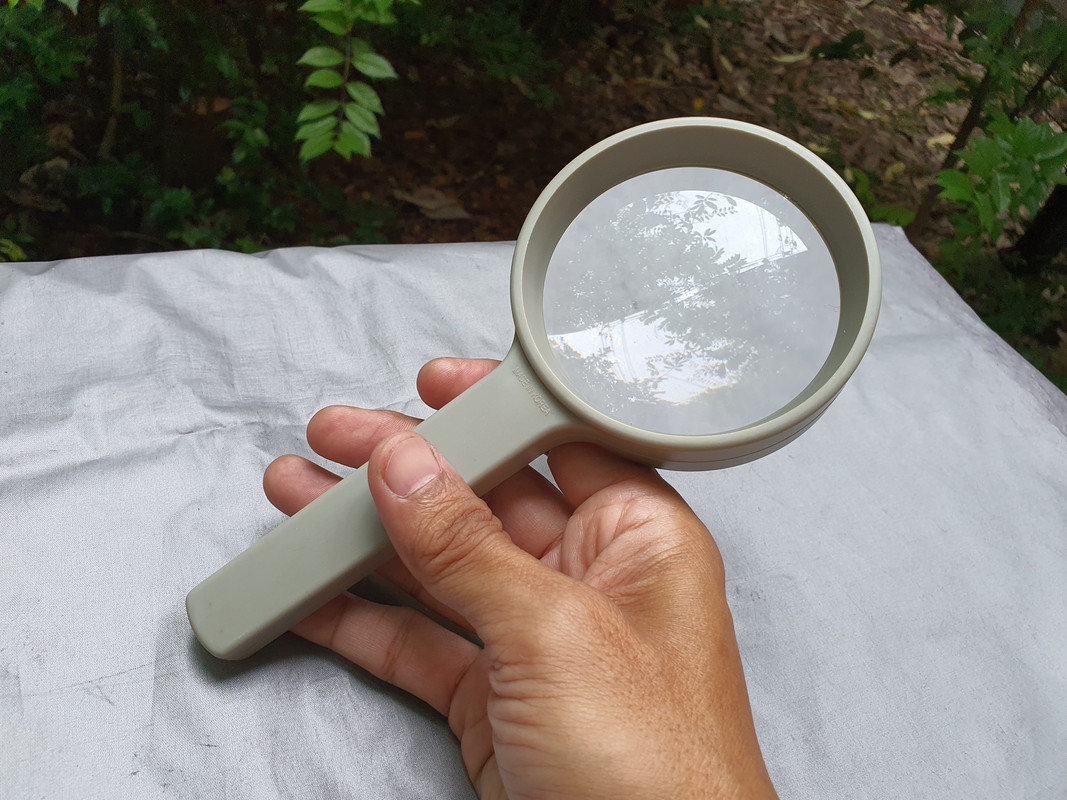 20220808 170005 — Postimages