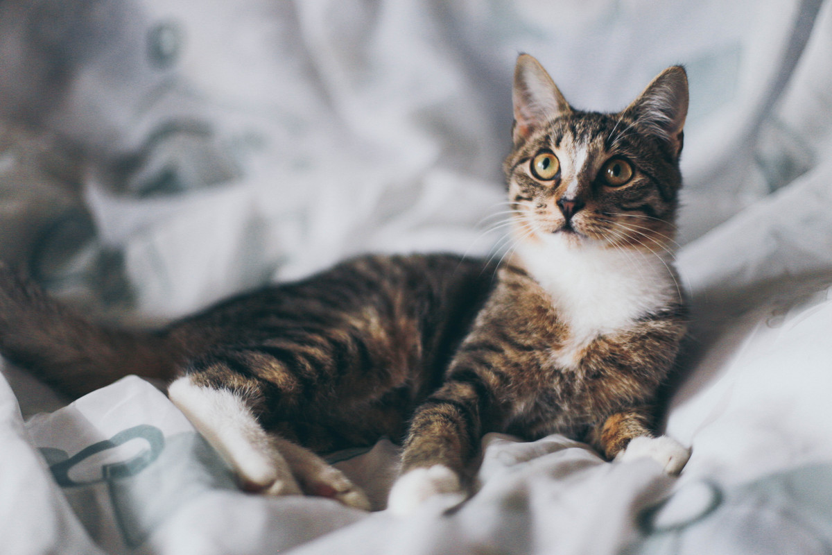 IMG 6789 — Postimages