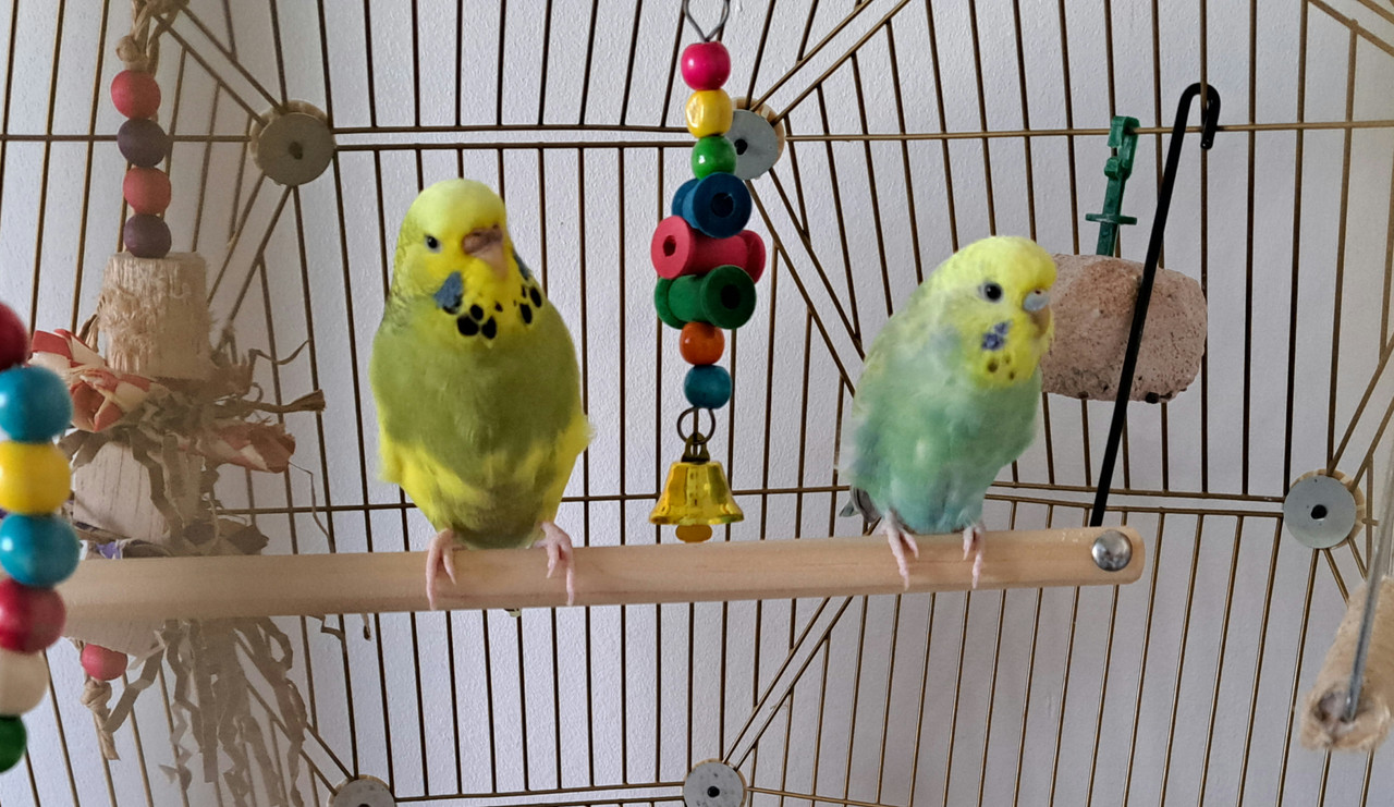 20230716 080534 — Postimages