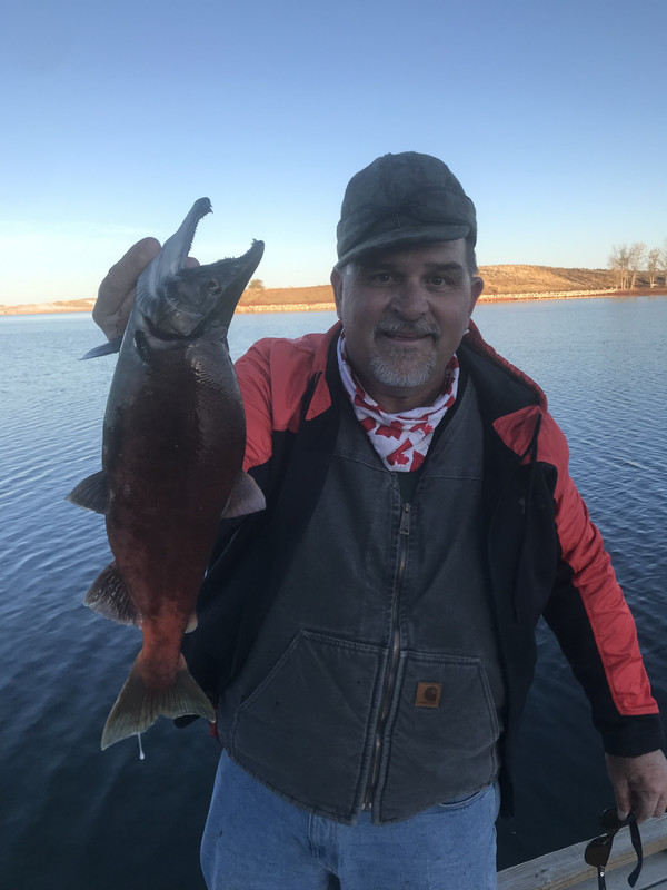 ED932 F4 D 0971 4 F4 A 9348 9 C5 C5 DC28 D11 — Postimages