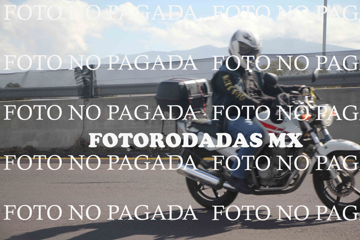 IMG 1900 — Postimages