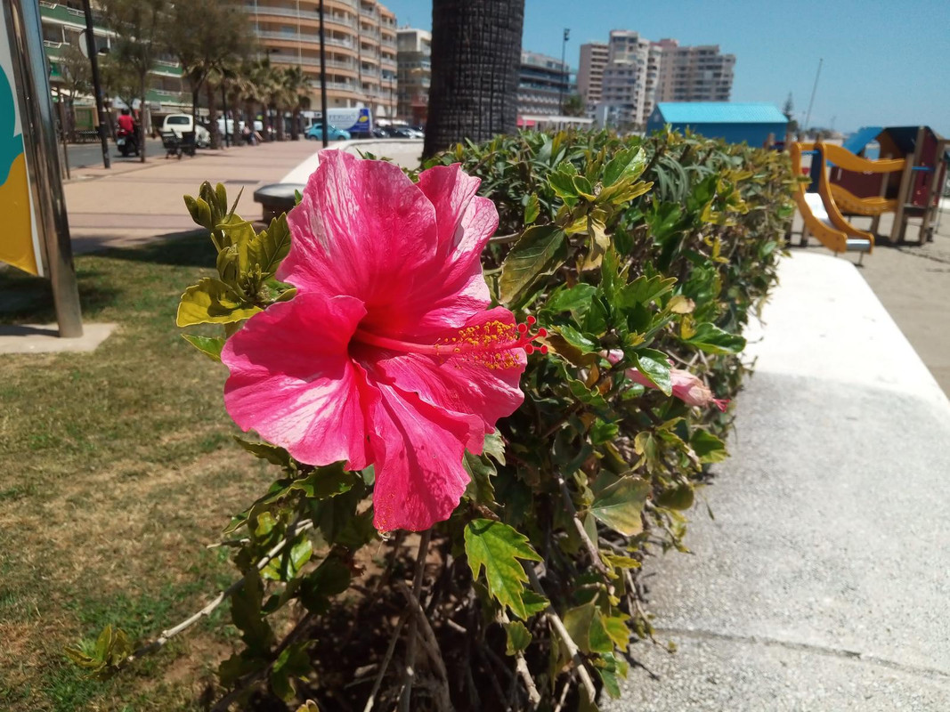 IMG 20180522 134132 — Postimages