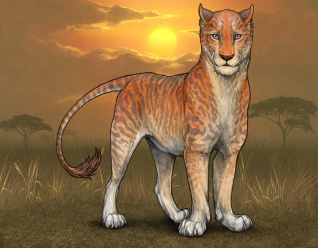 Screenshot 20220927 215822 Chrome — Postimages