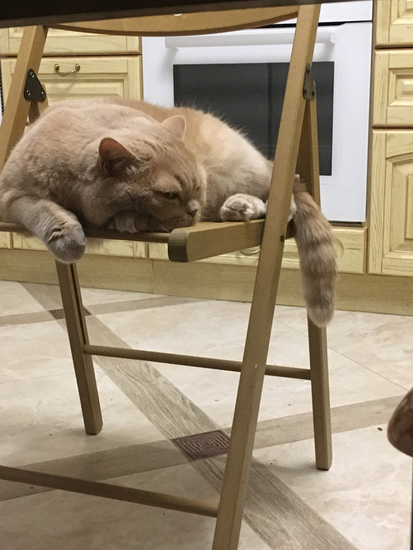 382 CCE02 24 D1 425 D B030 842 FAEDBA191 — Postimages