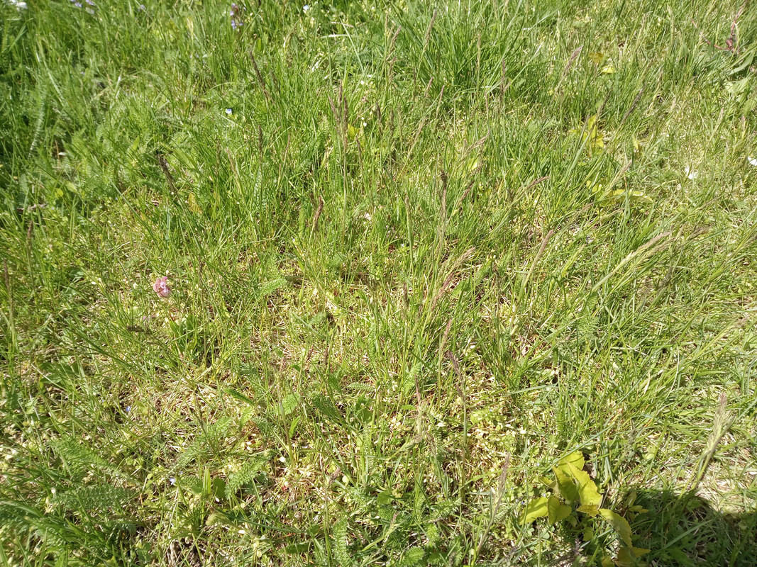 IMG 20220426 133101 407 — Postimages